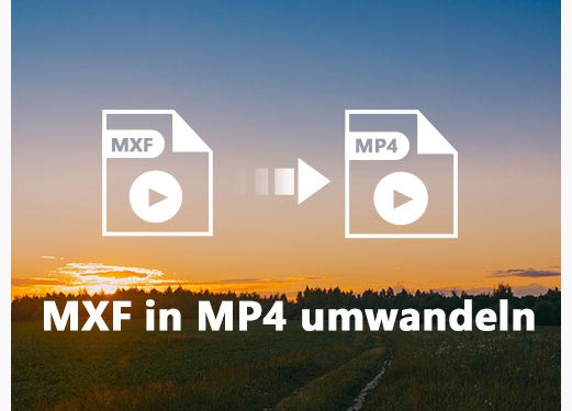 MXF to MP4 Converter: So kann man MXF-Datei leicht umwandeln